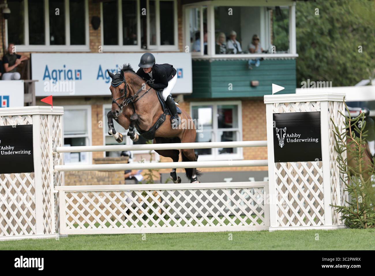 Sally jobson scott hi-res stock photography and images - Alamy