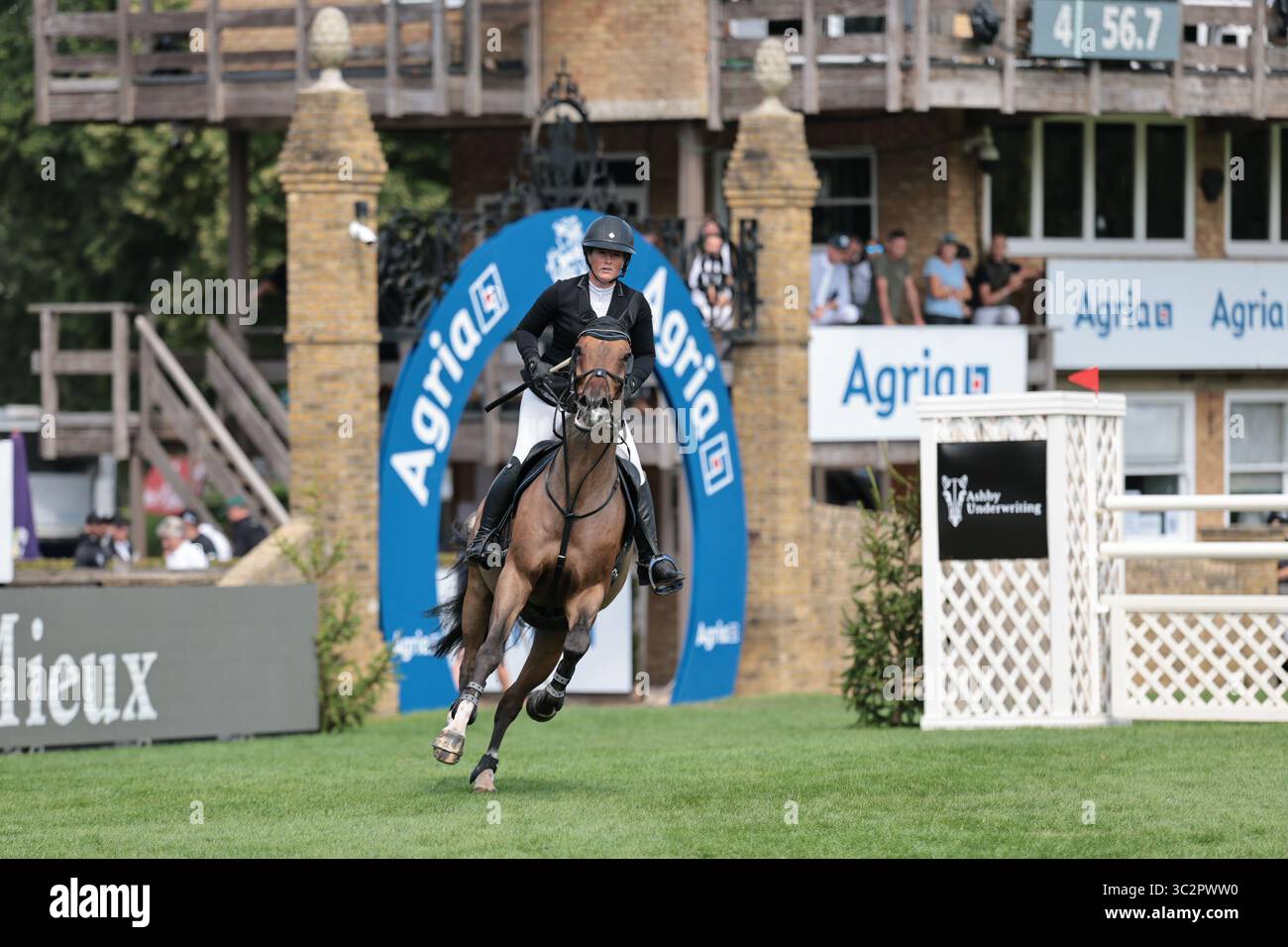 Sally jobson scott hi-res stock photography and images - Alamy