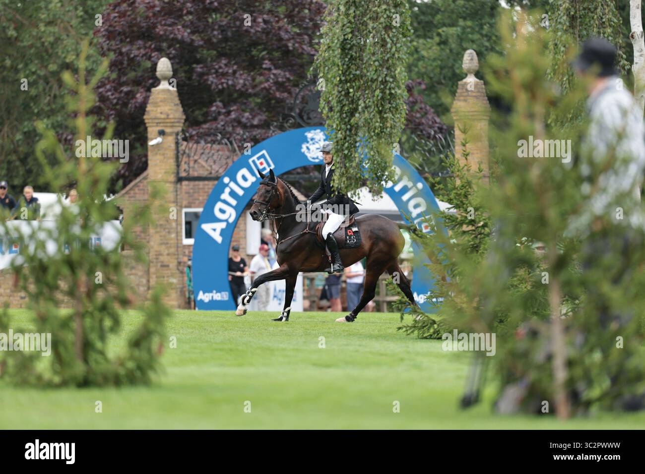 Carl-Walter Fox of Sweden riding Eka First Navy Jack during the ...