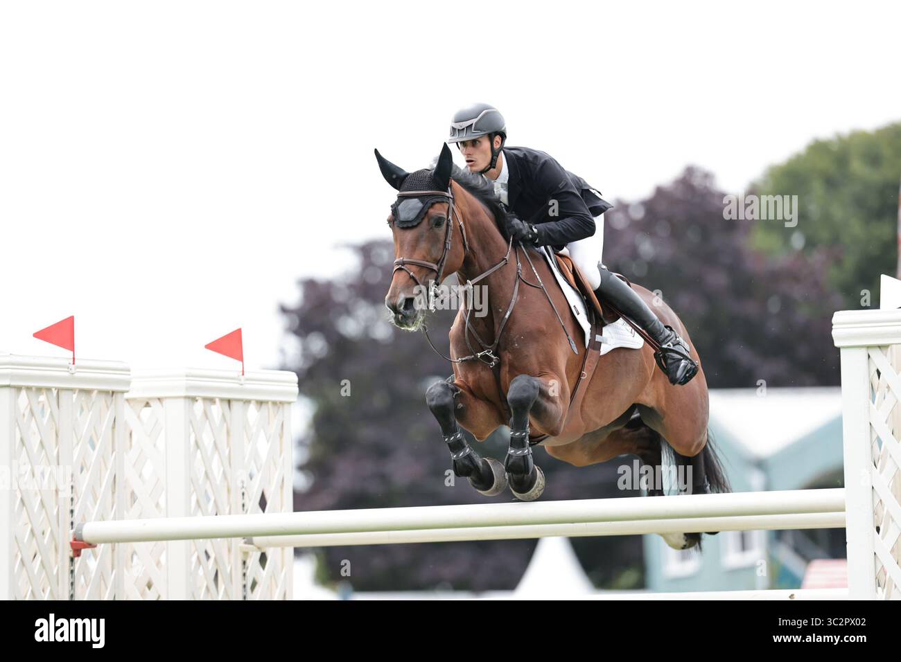 Maarten rentmeester hi-res stock photography and images - Alamy