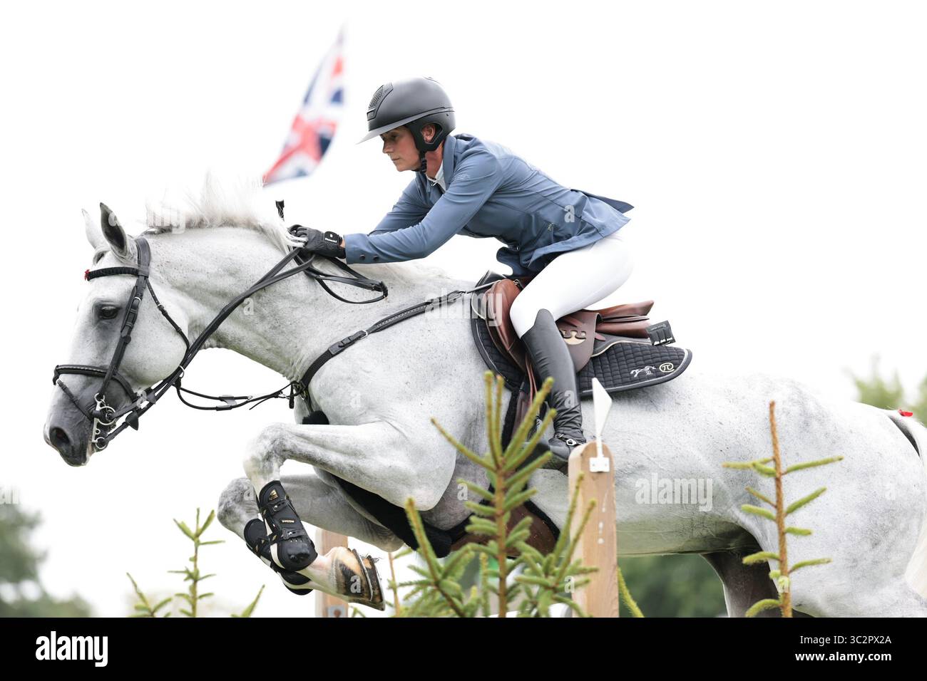 S a r l cavalex s a r l cavalex hi-res stock photography and images - Alamy