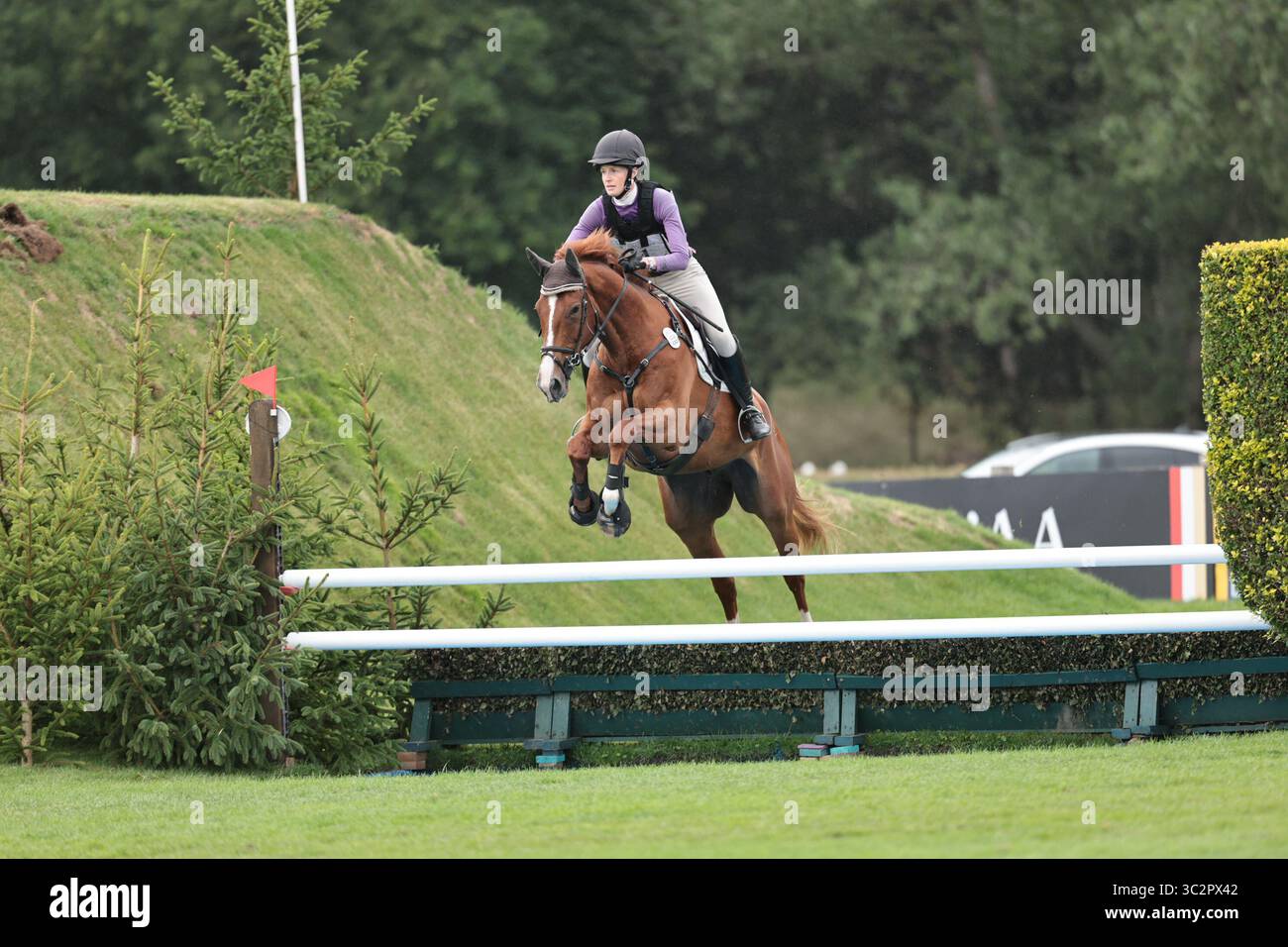Sarah Dowley of Ireland riding Bonmahon Liberation during the Ashby ...