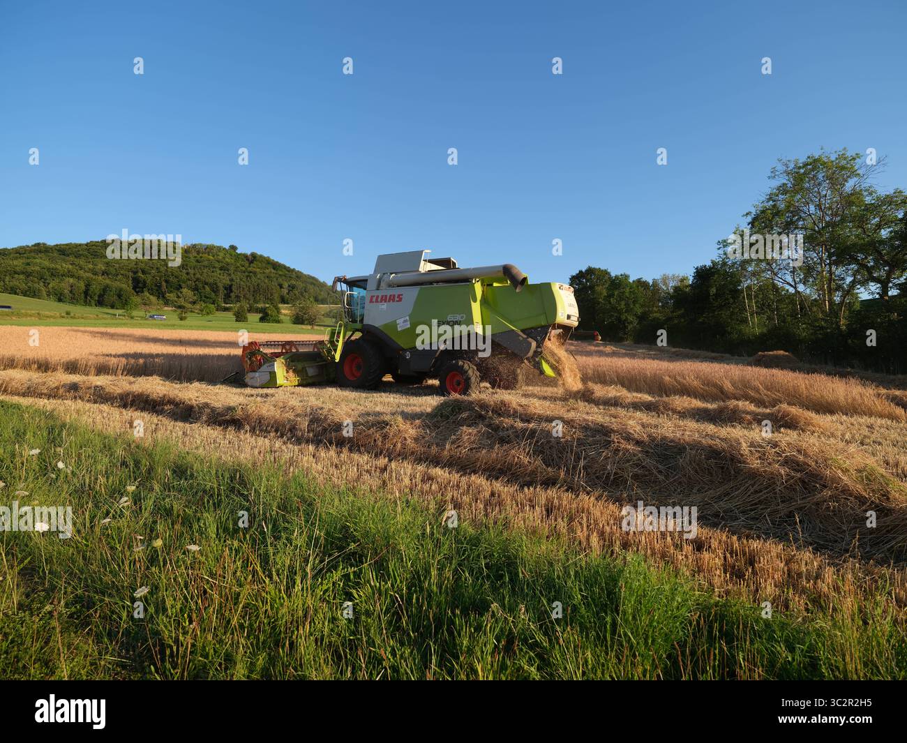 Feldarbeit GER, Deutschland, 20250724, Mähdrescher, Feld bei der ...