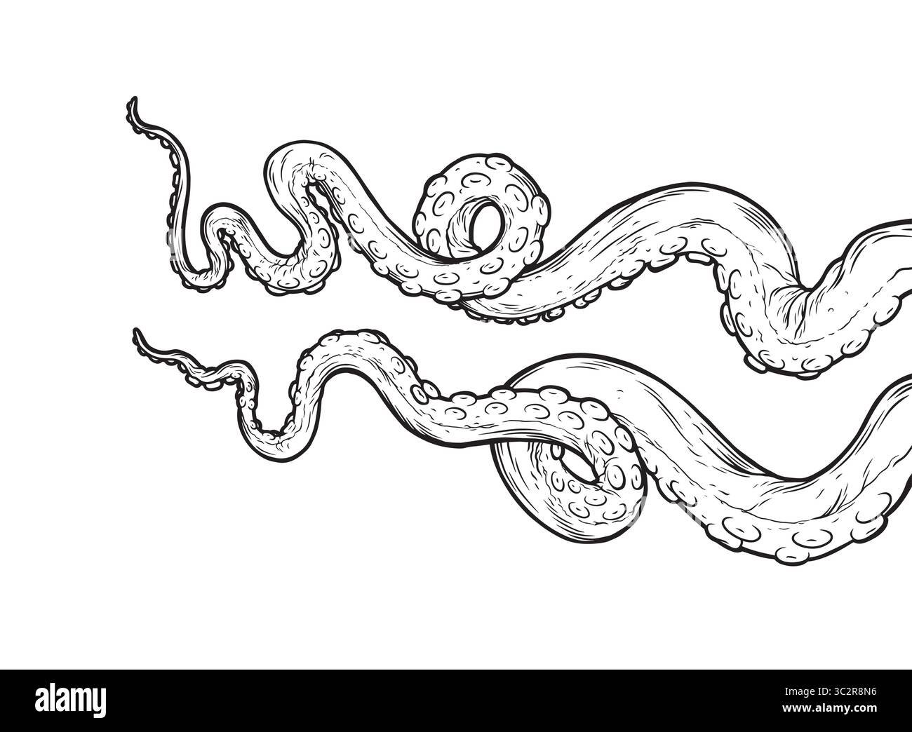 Octopus tentacles reaching upwards, squid-like marine animal body parts ...