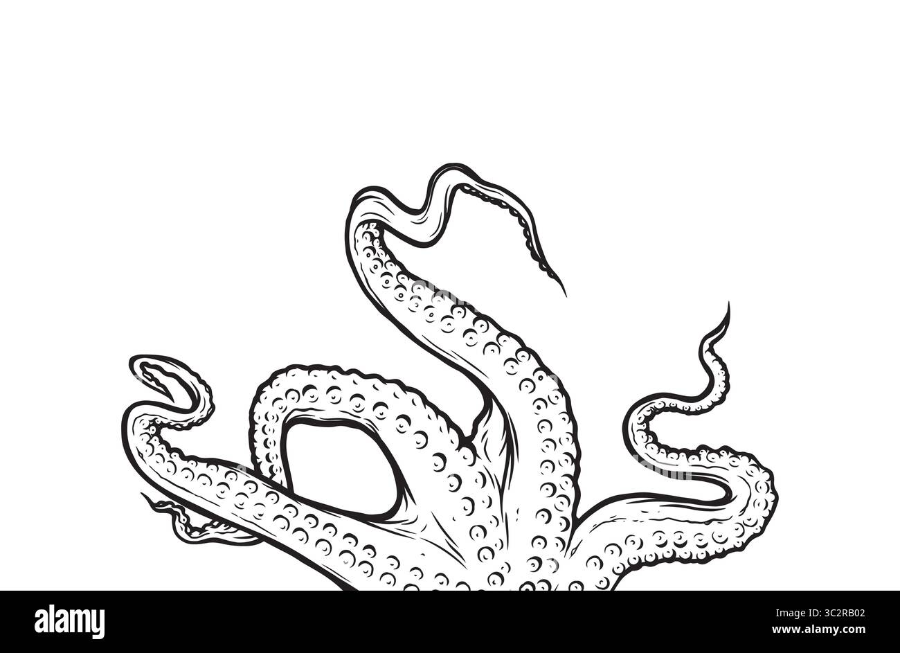 Octopus tentacles reaching upwards, squid-like marine animal body parts ...