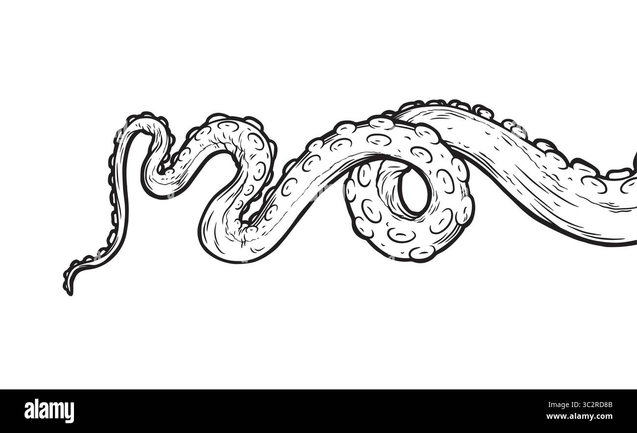 Octopus tentacles reaching upwards, squid-like marine animal body parts ...