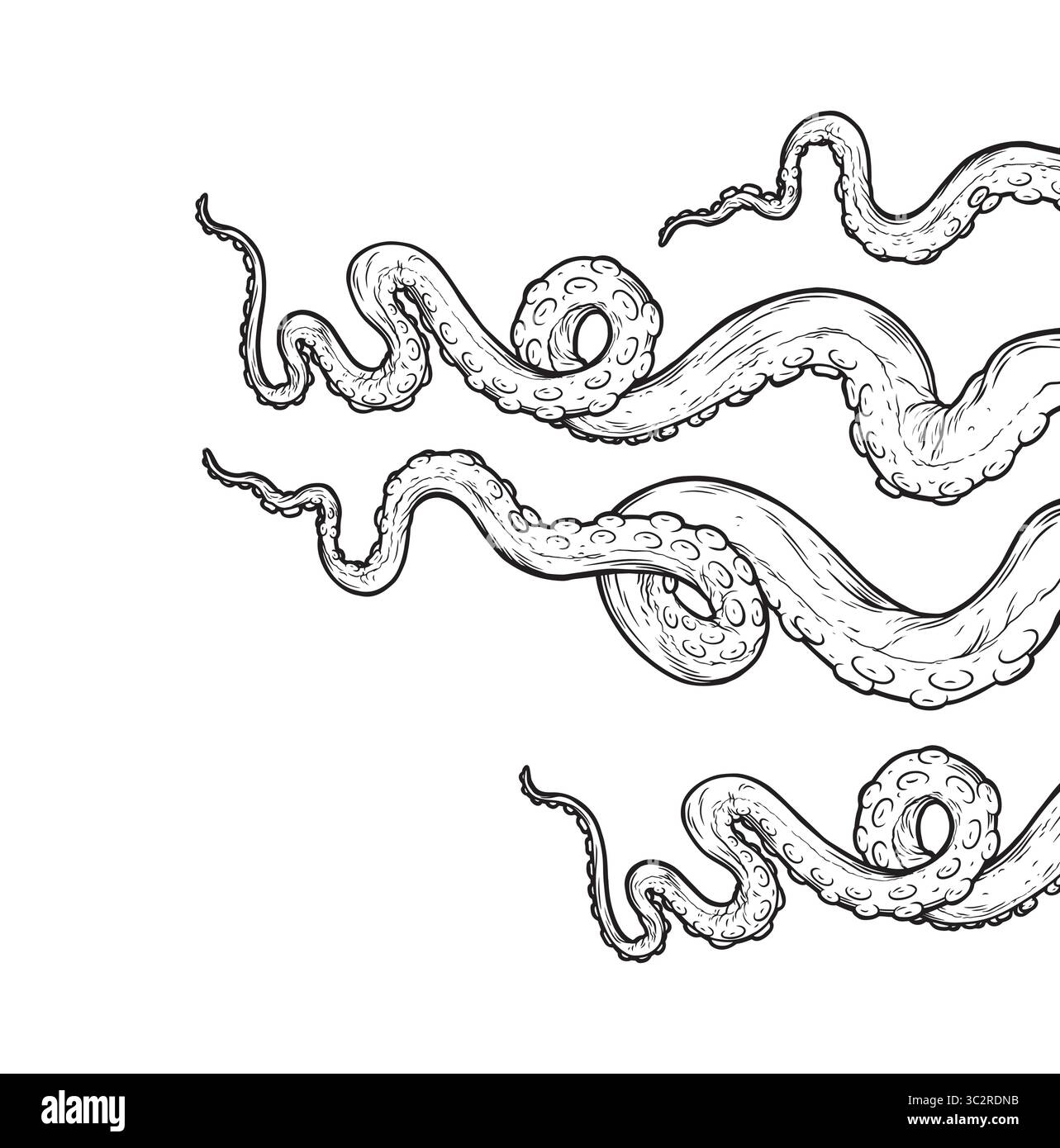 Octopus tentacles reaching upwards, squid-like marine animal body parts ...