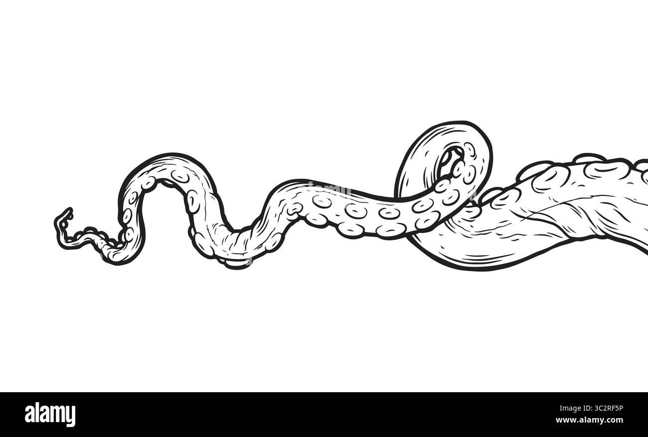 Octopus tentacles reaching upwards, squid-like marine animal body parts ...
