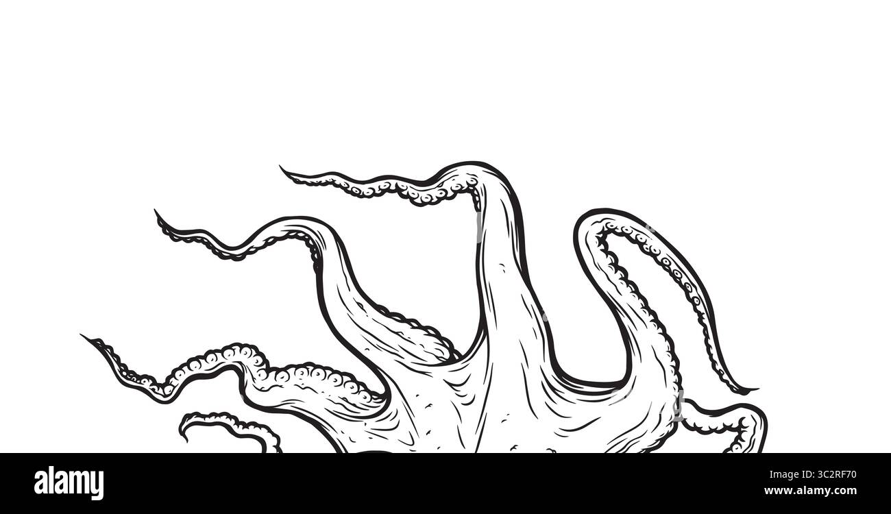Octopus tentacles reaching upwards, squid-like marine animal body parts ...