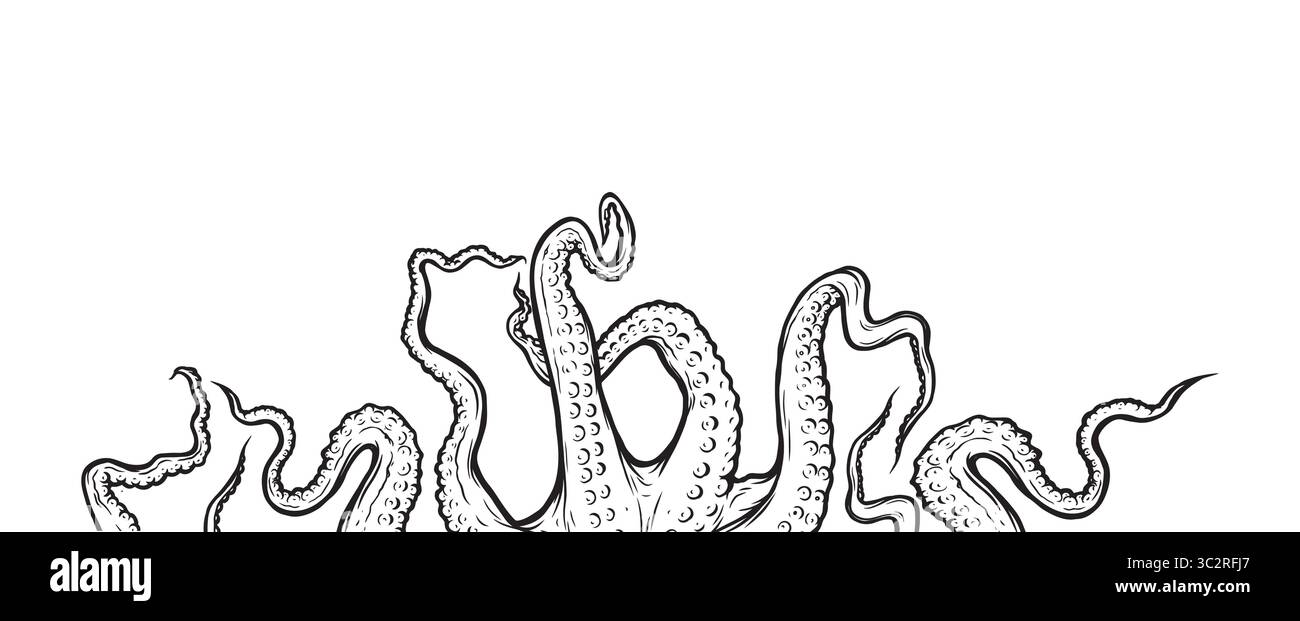 Octopus tentacles reaching upwards, squid-like marine animal body parts ...