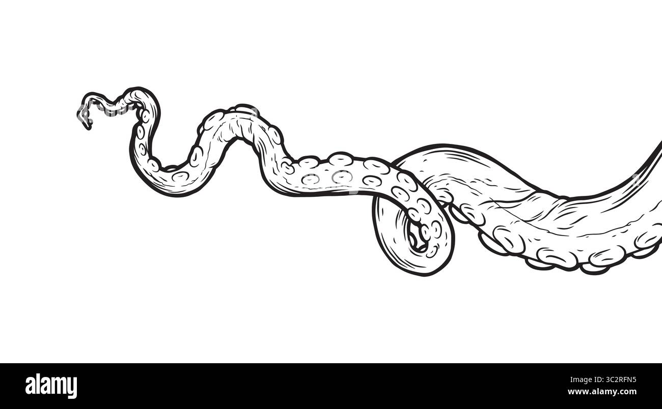 Octopus tentacles reaching upwards, squid-like marine animal body parts ...