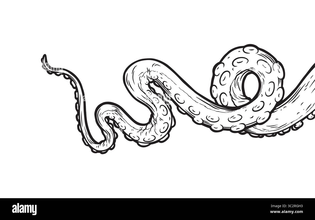 Octopus tentacles reaching upwards, squid-like marine animal body parts ...