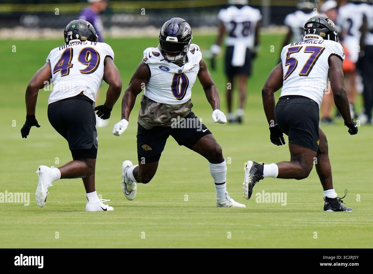Baltimore Ravens linebackers Jay Higgins (49), Roquan Smith (0) and ...