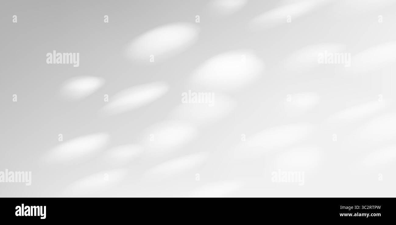 Minimal indoor scene with light beams and plant shadows on white wall ...