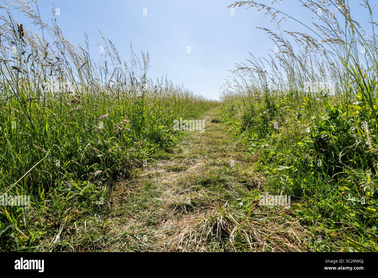 Dike trail hi-res stock photography and images - Alamy