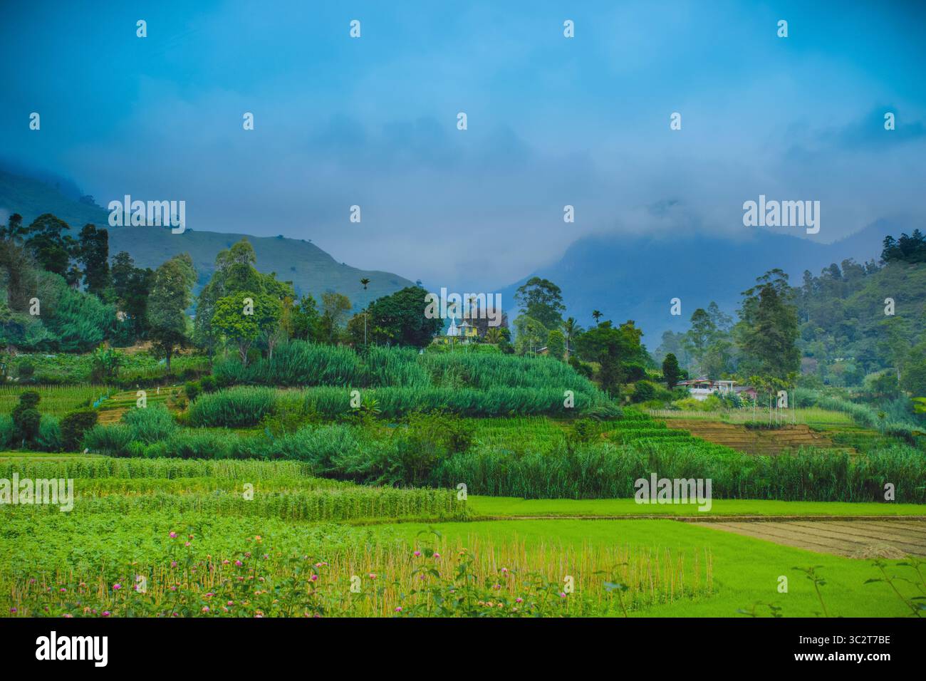 Village in sri lanka hi-res stock photography and images - Alamy