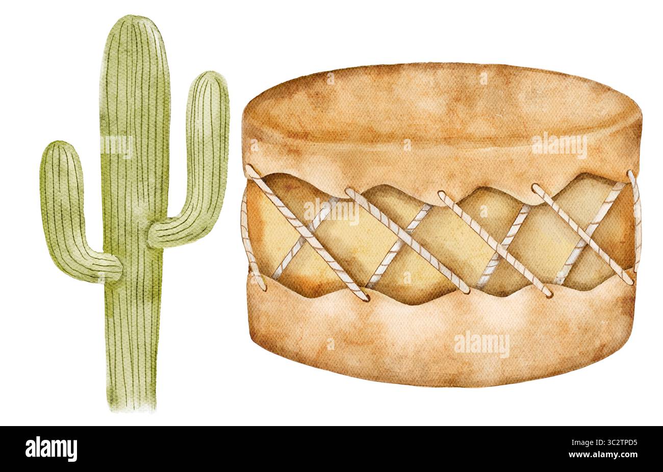 Watercolor illustration of a Native American drum and green cactus on a ...