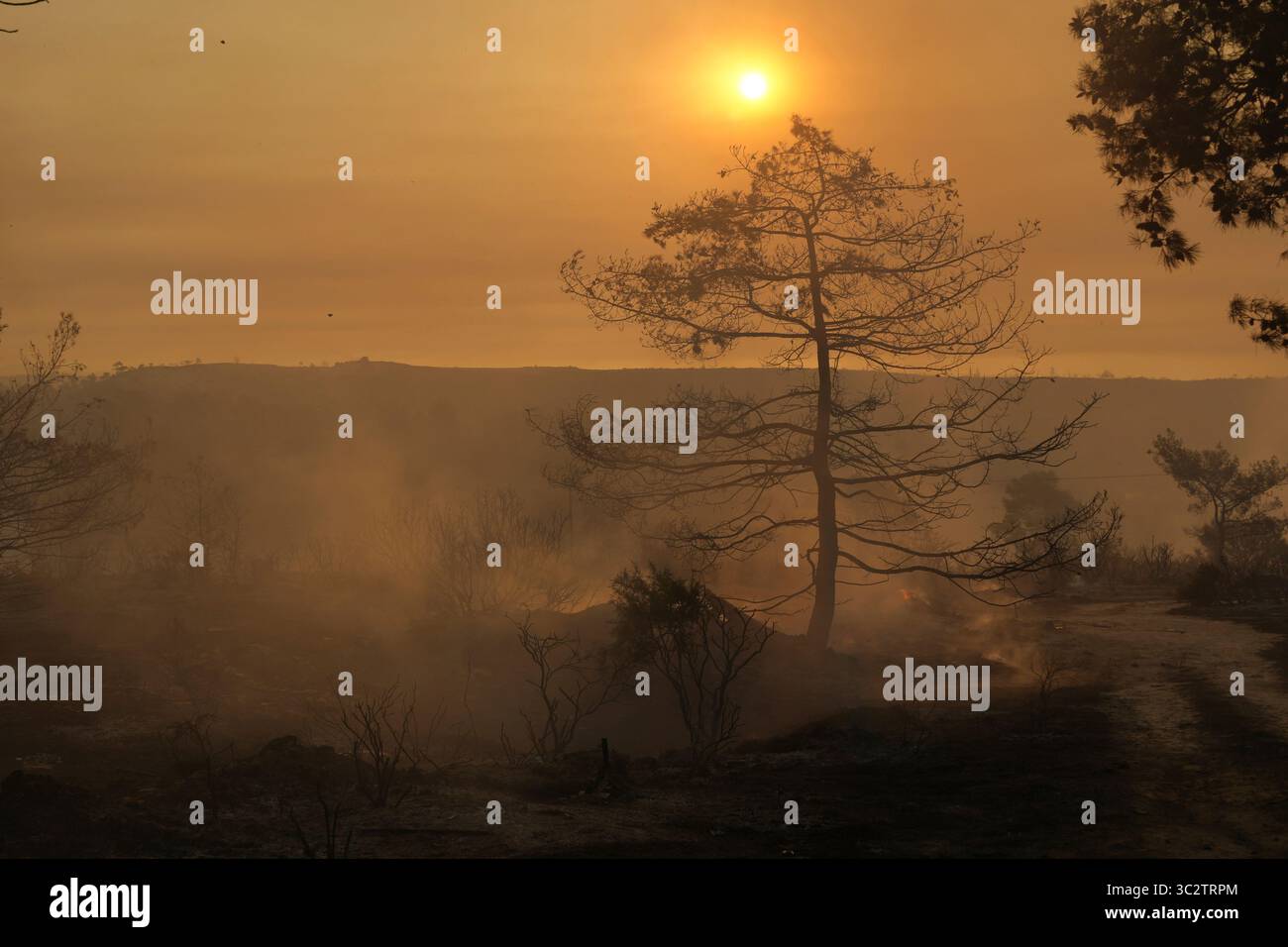 Sun rises over the burning area at Souni village, Cyprus, during a ...