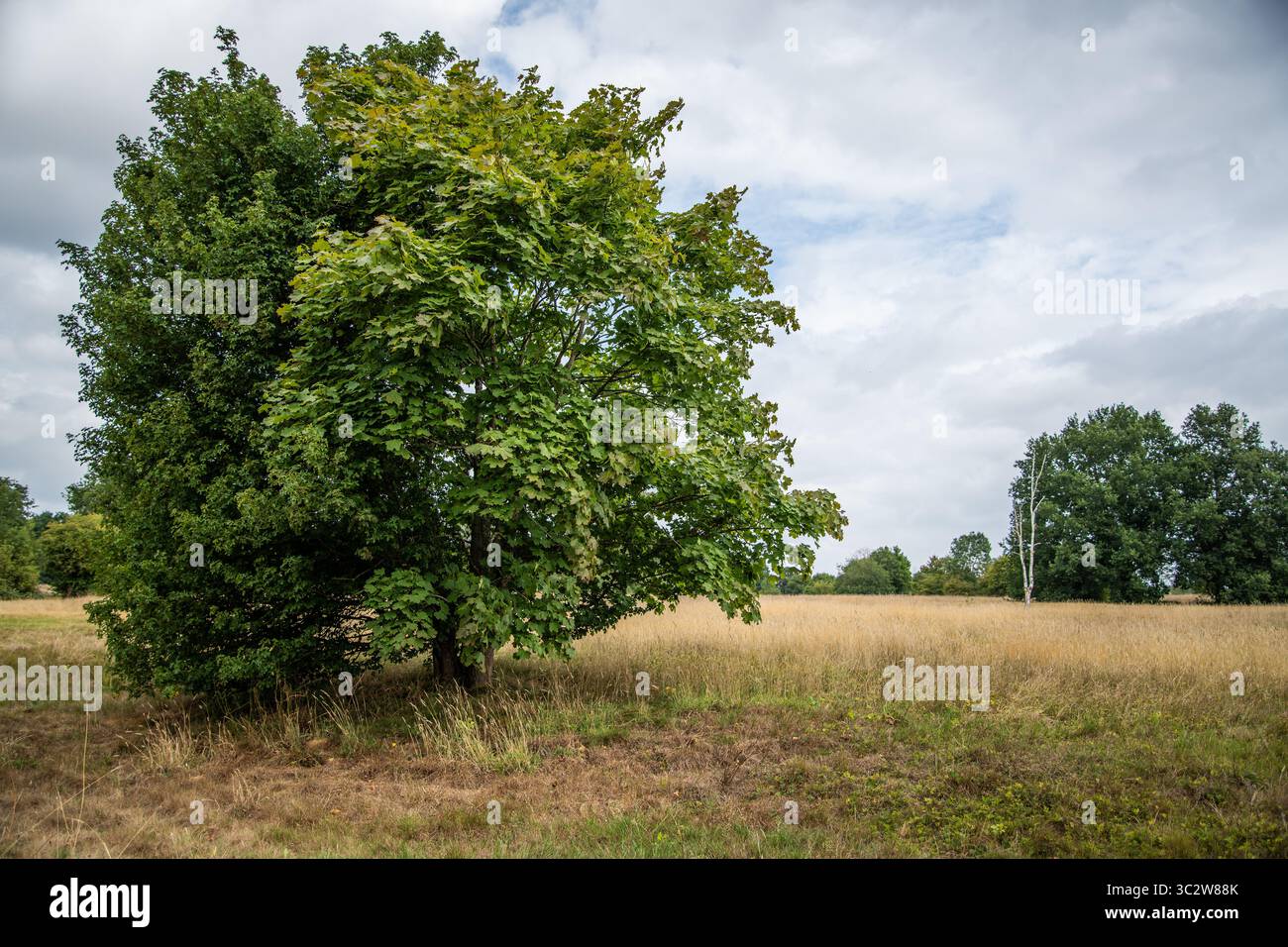 Open space preservation hi-res stock photography and images - Alamy