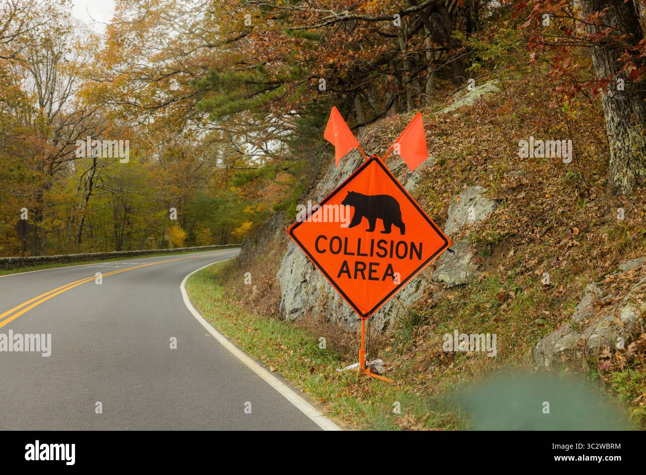 Bear activity zone hi-res stock photography and images - Alamy