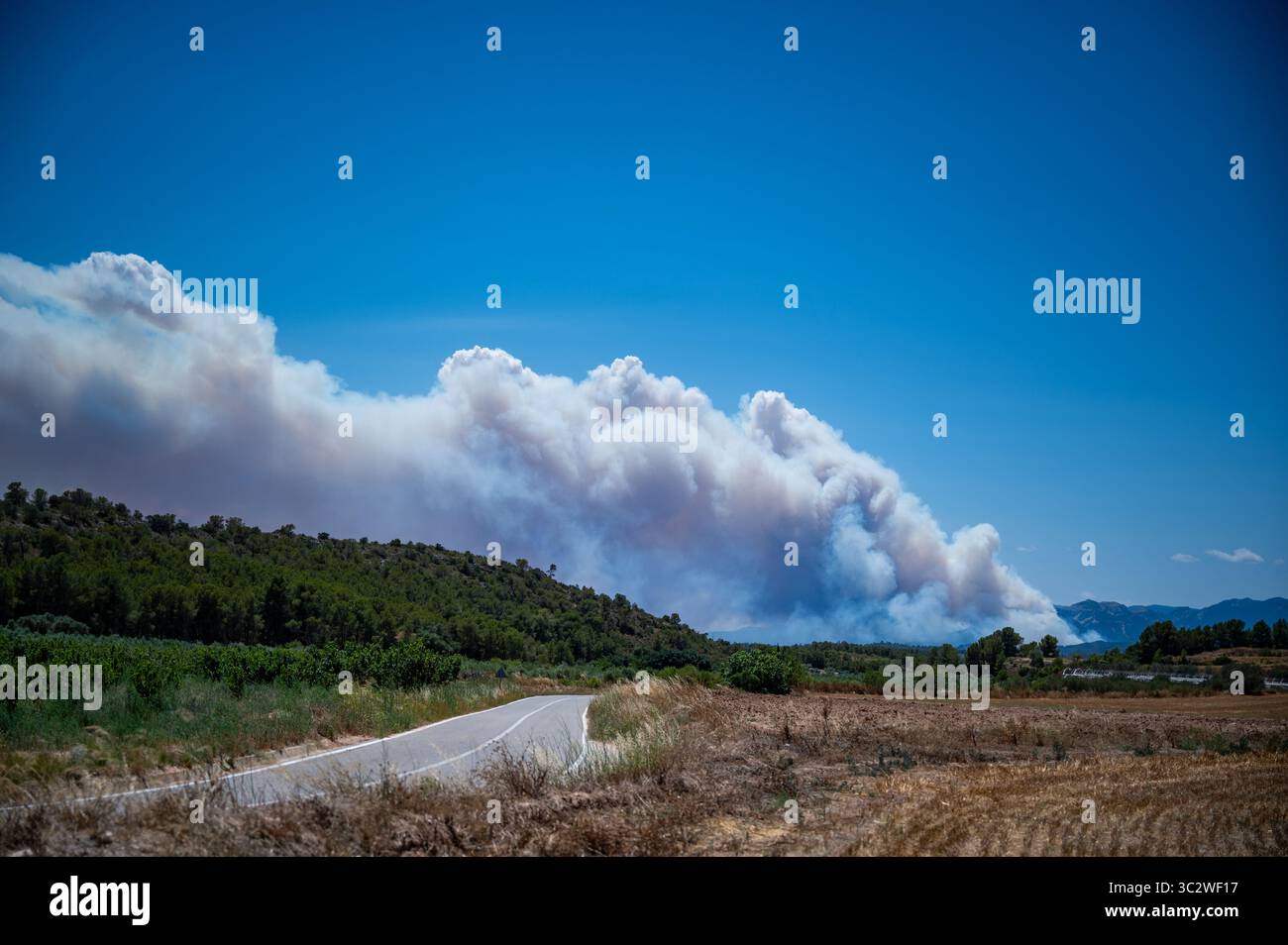 Forest wildfire smoke rising hi-res stock photography and images - Alamy