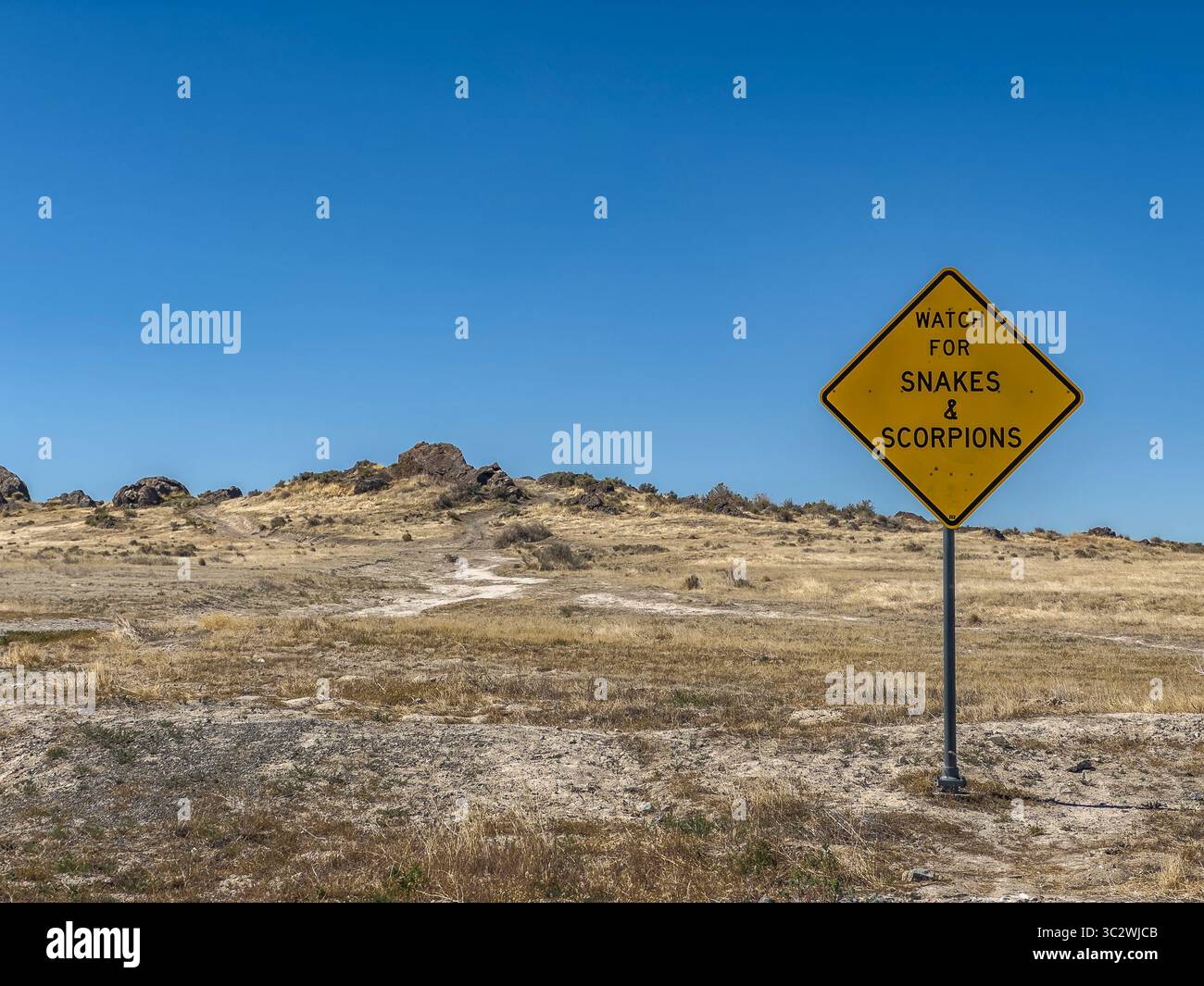 Watch snakes scorpions sign hi-res stock photography and images - Alamy