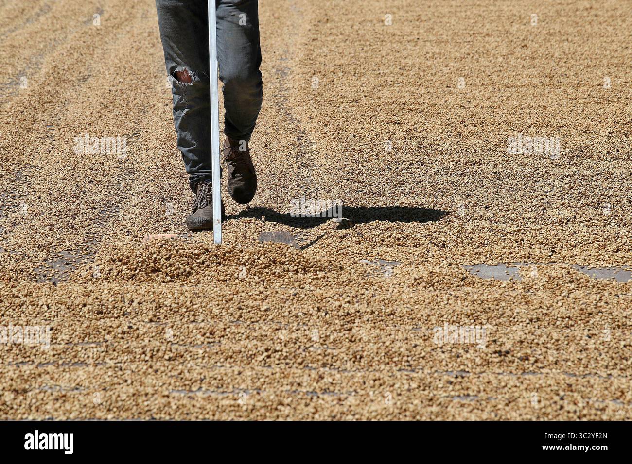 Catalogado hi-res stock photography and images - Alamy