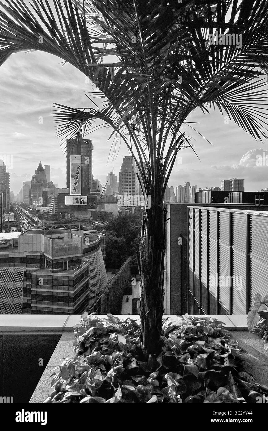 Contemporary urban garden Black and White Stock Photos & Images - Alamy