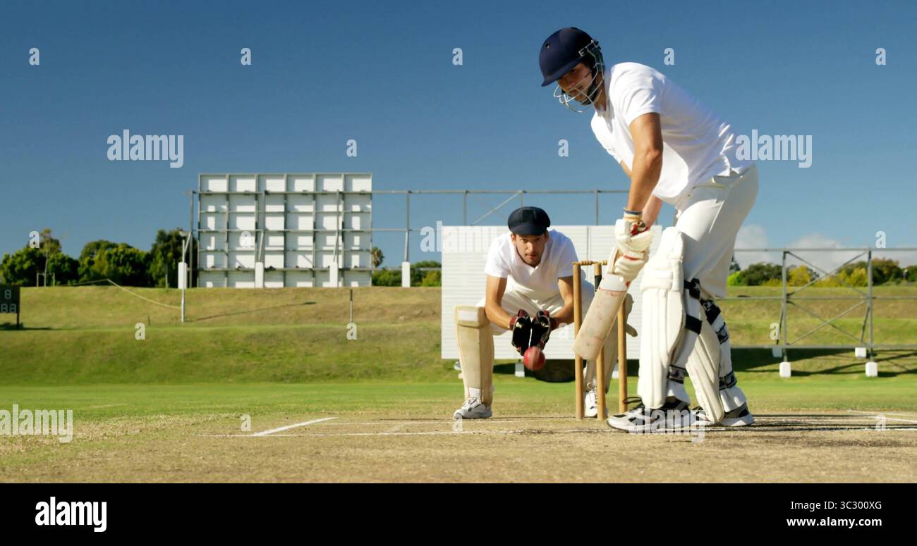 Bat grille hi-res stock photography and images - Alamy