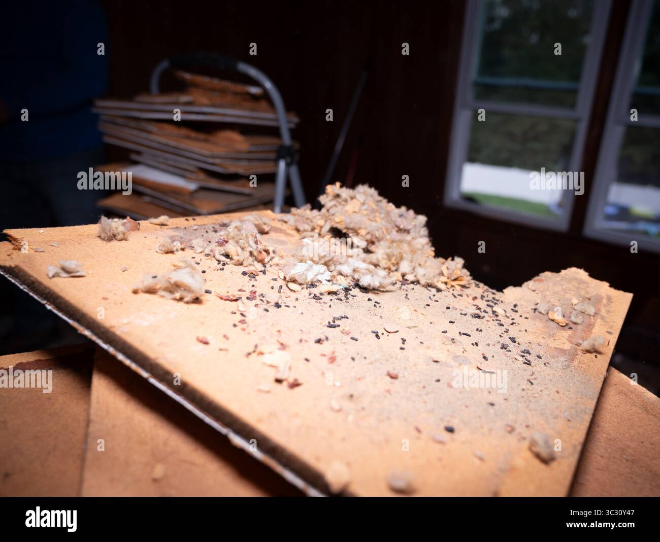 Removal of roof debris hi-res stock photography and images - Alamy