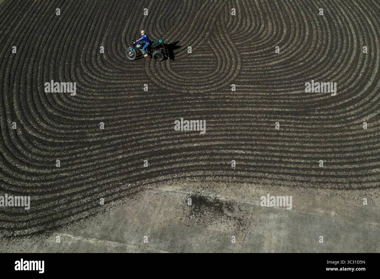 Artur Vargas rides a motorcycle adapted to spread coffee beans for ...