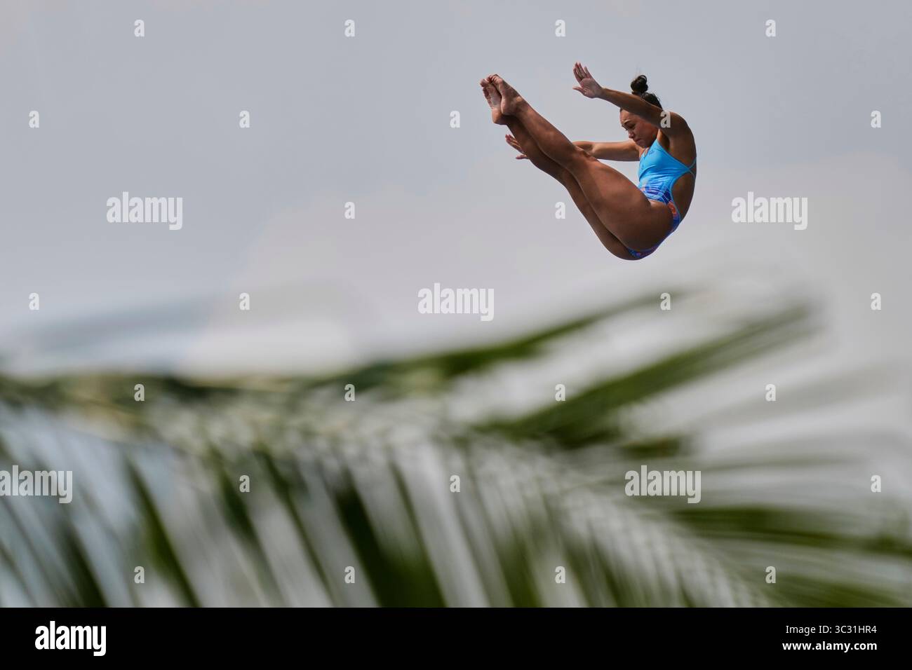 Xantheia Pennisi of Australia competes in the women's 20m platform ...