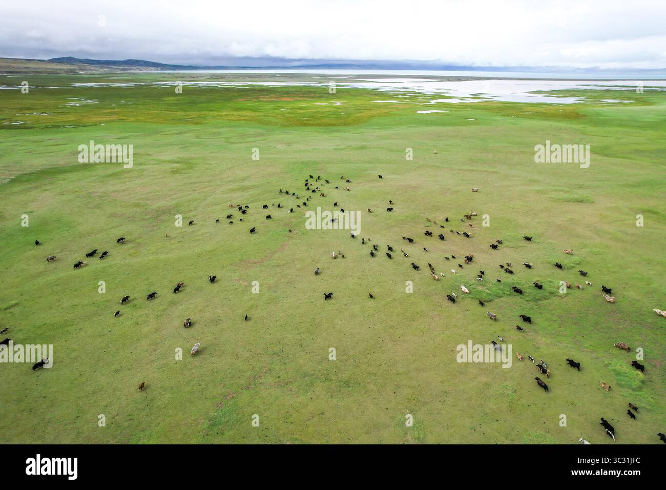 **CHINESE MAINLAND, HONG KONG, MACAU AND TAIWAN OUT** Aerial photo ...