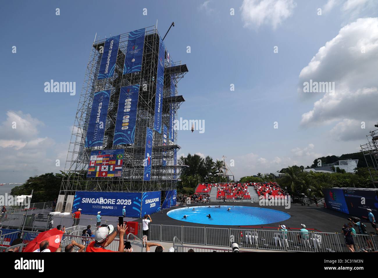 2025 world swimming championships high platform diving womens 20 hi-res ...