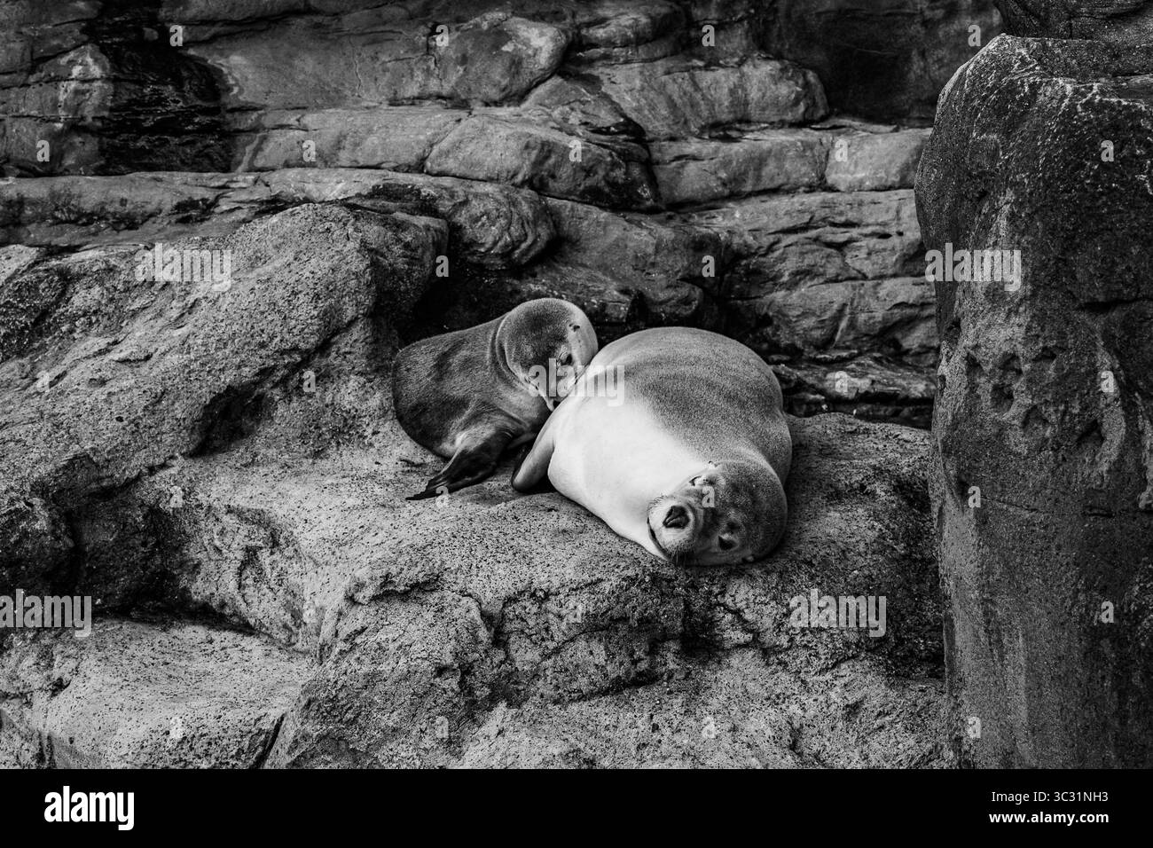 Adventure july Black and White Stock Photos & Images - Alamy