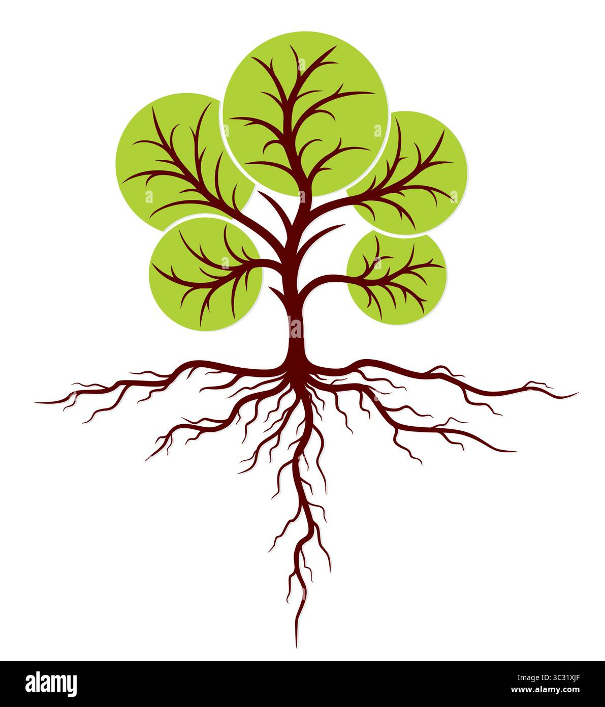 Roots large tree Cut Out Stock Images & Pictures - Alamy