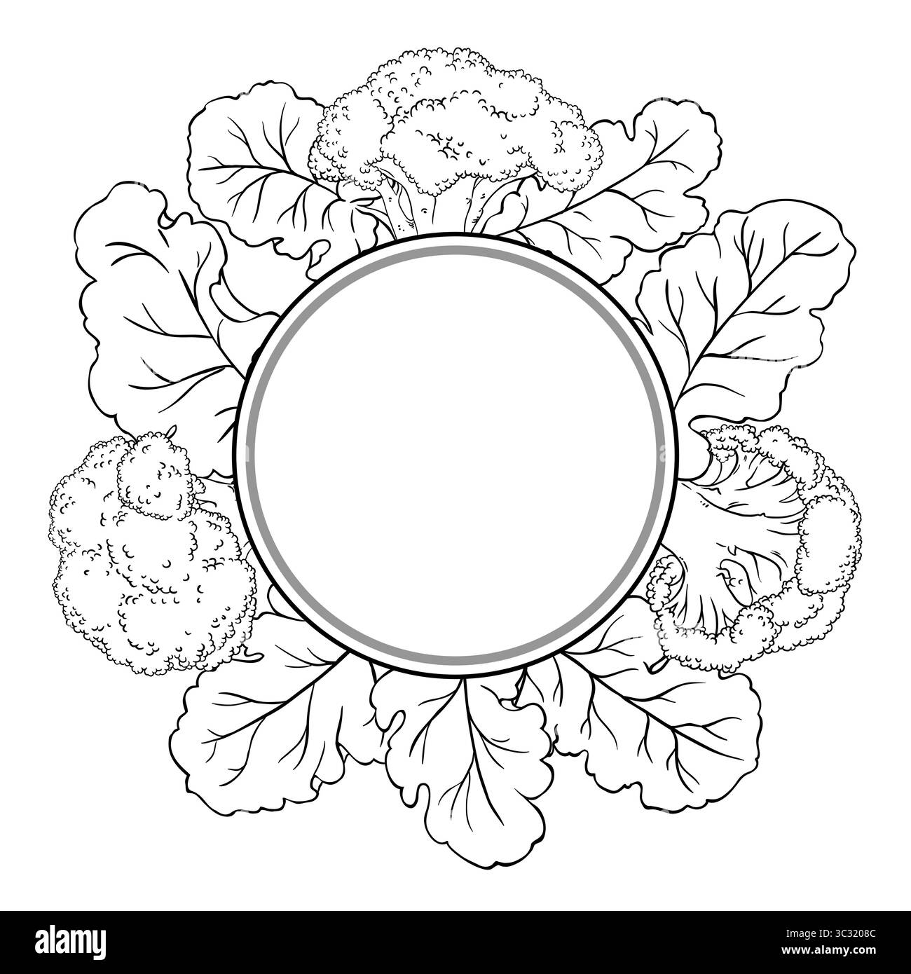 Broccoli Vegetable Outline Round Frame Stock Vector Image & Art - Alamy