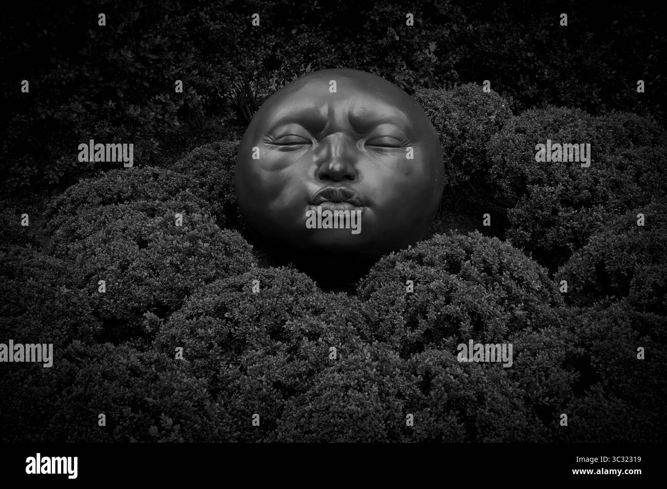 Sense face Black and White Stock Photos & Images - Alamy