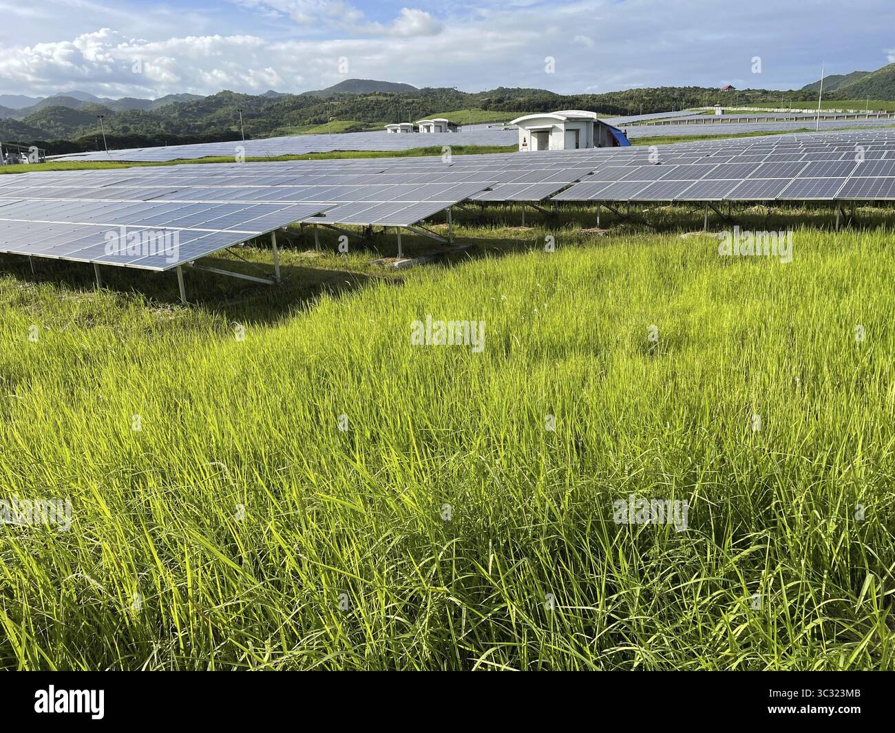 First solar power plant in Southeast Asia, San Carlos Solar Enger Inc ...