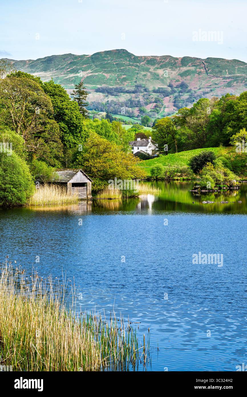 Rydal Water, Rydal, Ambleside, Lake District, Westmorland, Cumbria ...