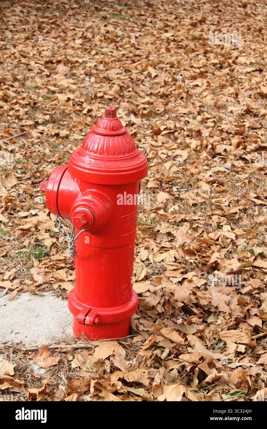 american red fire hydrant Stock Photo - Alamy