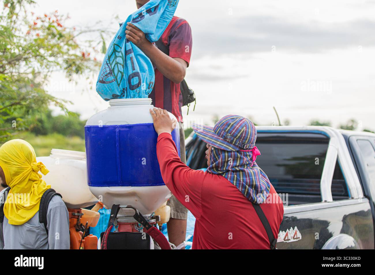 Thai farmers loading rice hi-res stock photography and images - Alamy