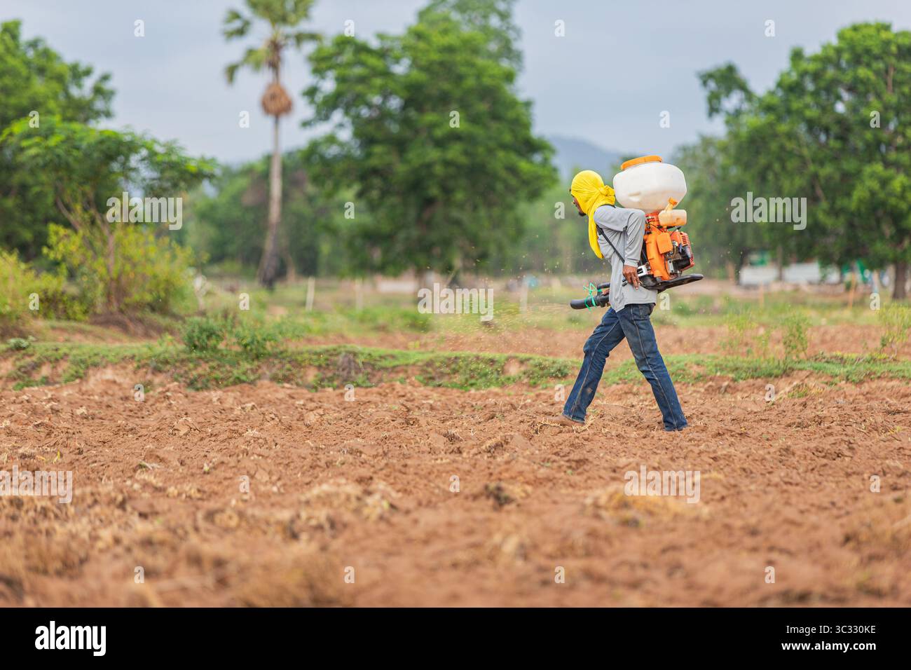 Sowing seed man hi-res stock photography and images - Alamy