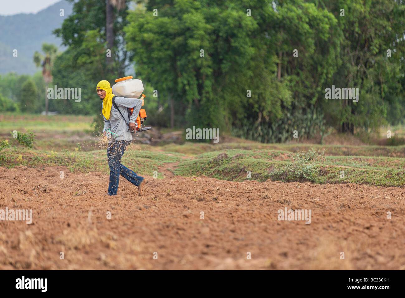 Man using rice seeder blower in rice field Stock Photo - Alamy