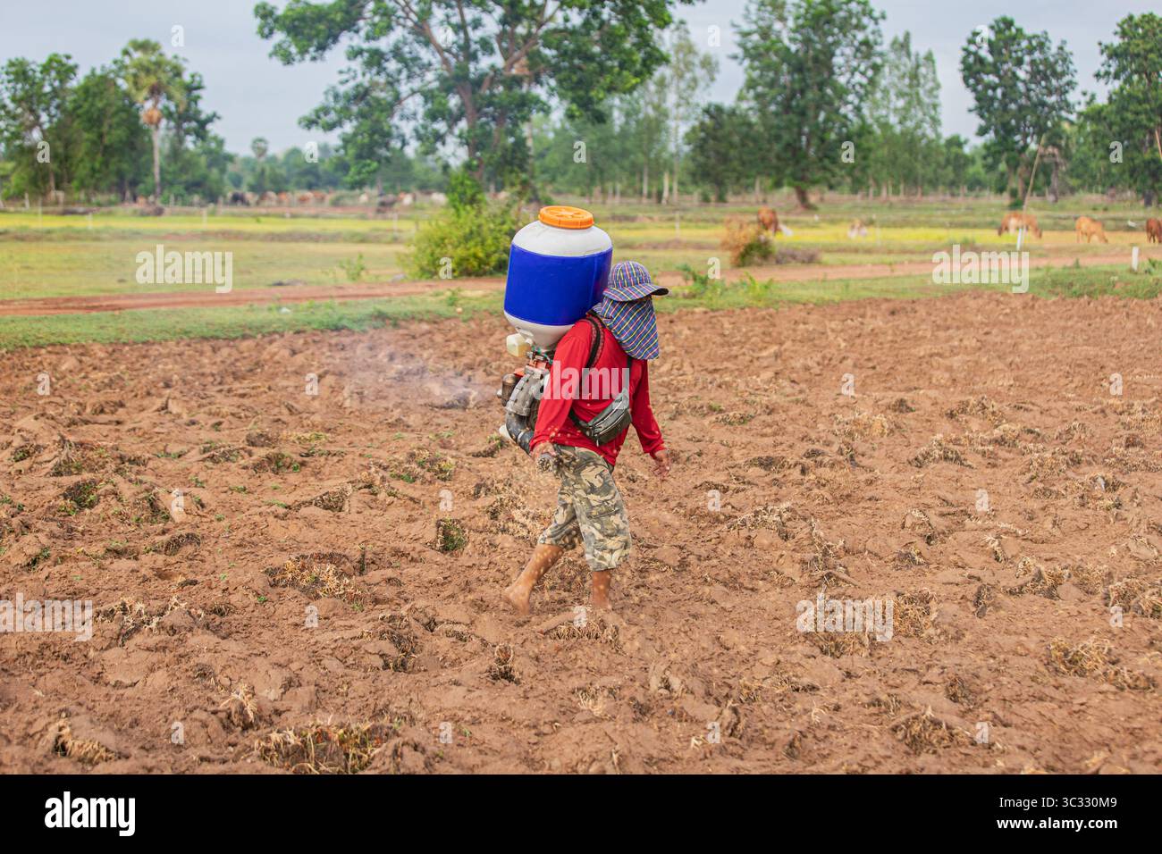 Farmer using rice seeder blower in field Stock Photo - Alamy