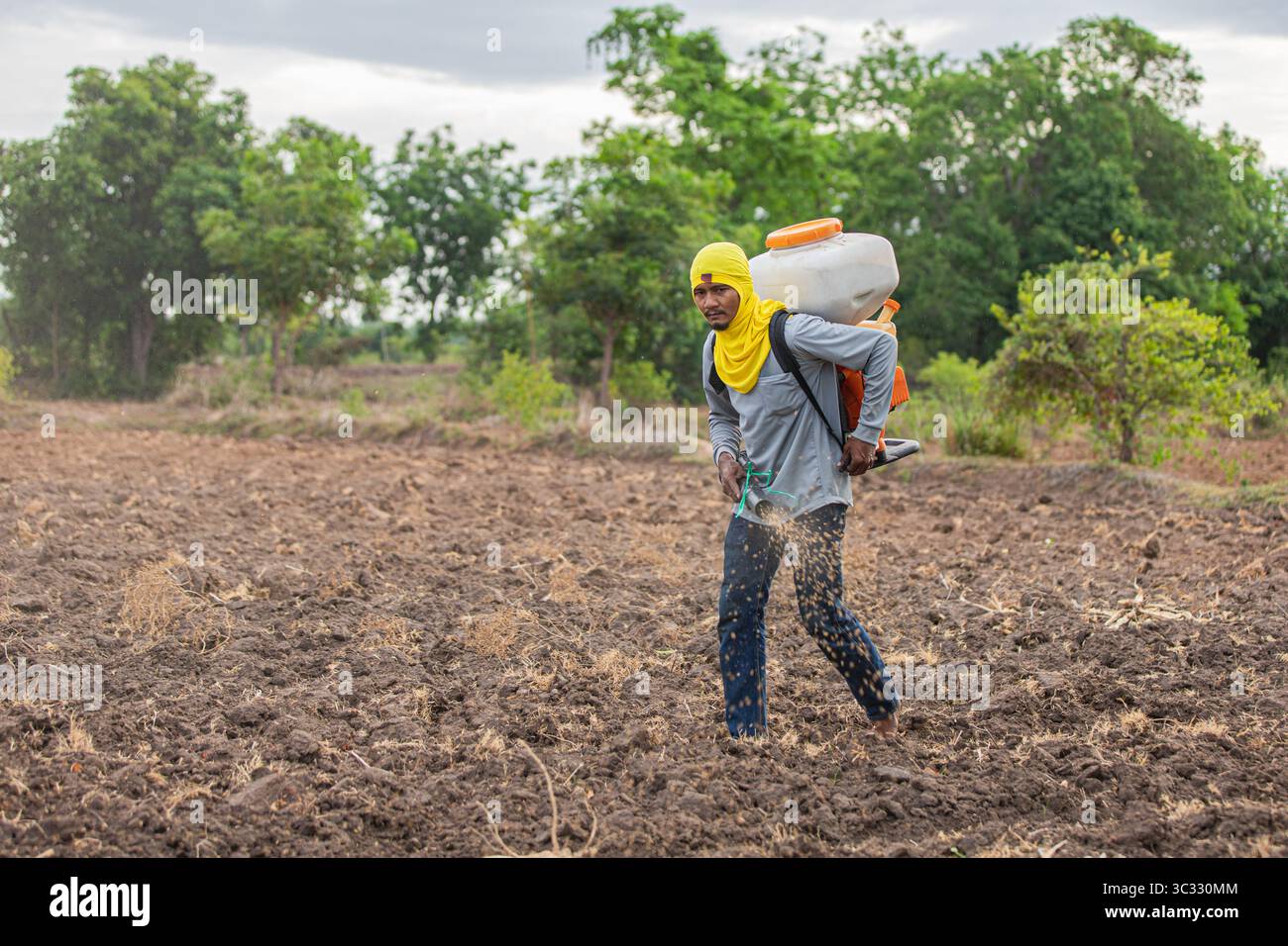 Sowing seeds for a new harvest season Stock Photo - Alamy