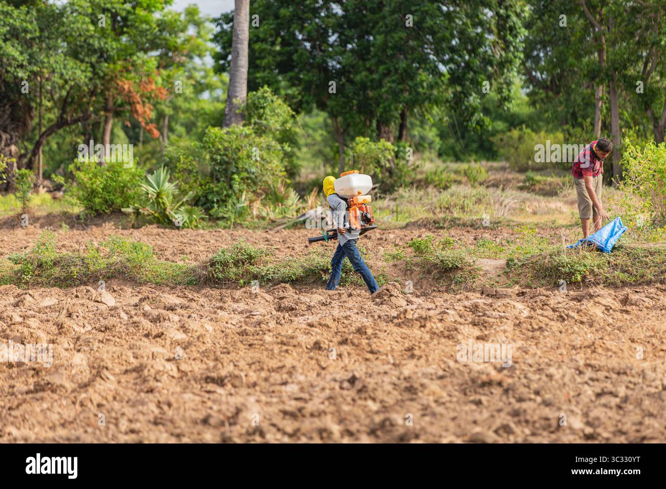 Thai farmers loading rice hi-res stock photography and images - Alamy
