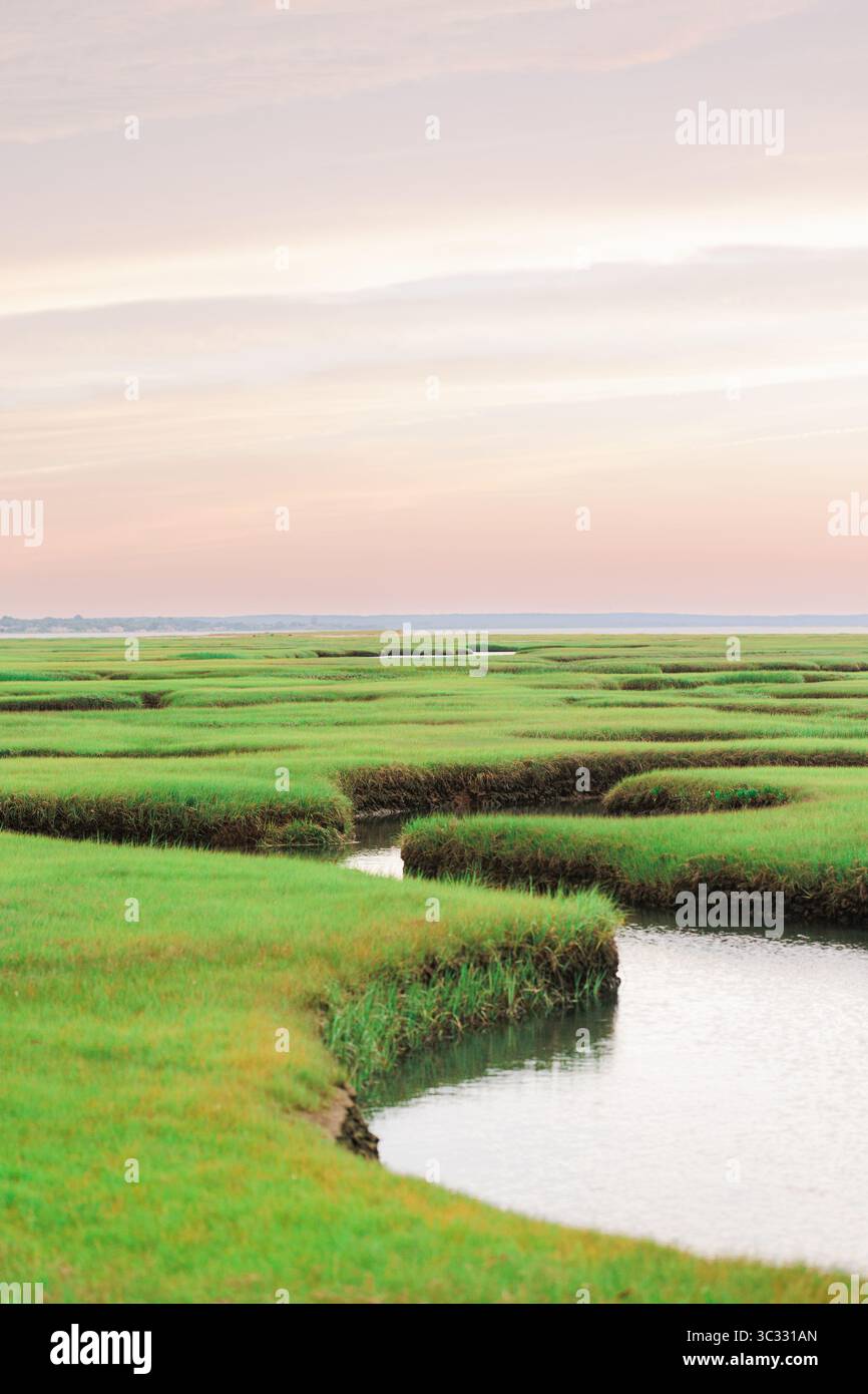 Marsh grass cape cod hi-res stock photography and images - Alamy