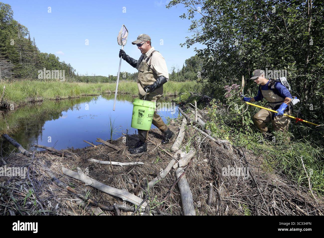 Josh beaver hi-res stock photography and images - Alamy