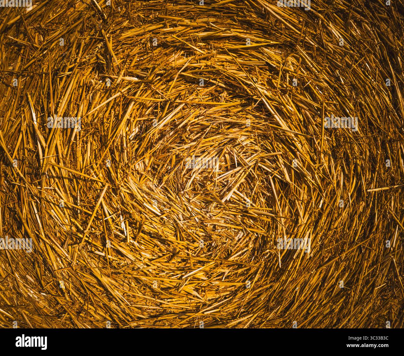 Close-up of round hay bale texture near Jülich, Germany, July 2025 ...